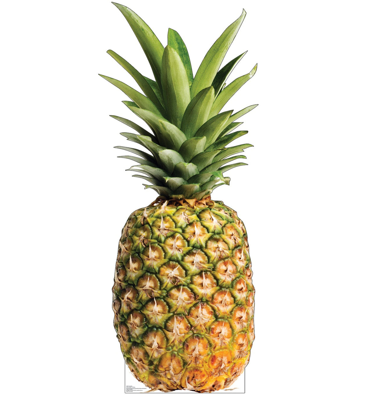 Life-Size Giant Pineapple Cardboard Cutout | All Cutouts